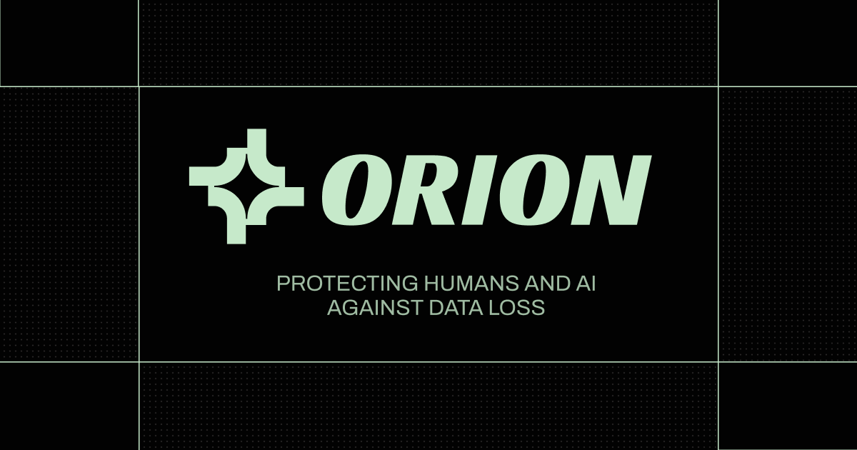 ORION - DLP Beyond Policies